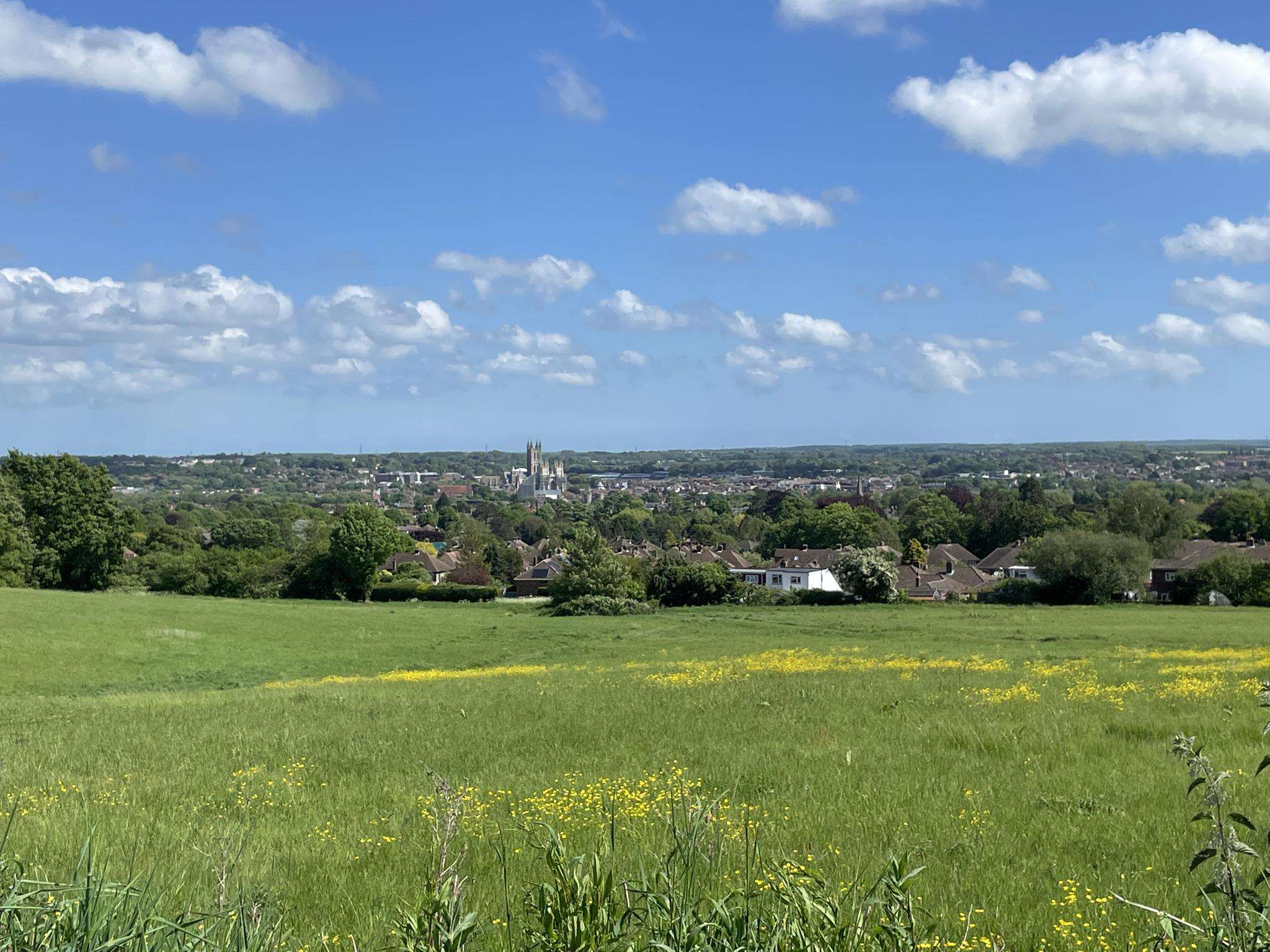Top 10 Hikes and Walks in Blean Woods National Nature Reserve | Komoot