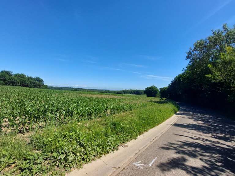 Top 10 randonnées et balades autour de la Forêt De Carnelle | Komoot