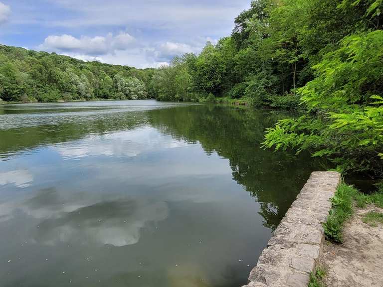 Top 10 rando VTT et circuits autour de la Forêt De Carnelle ...