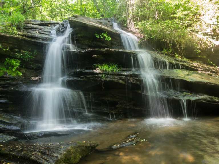 The best walks and hikes in Clemson Experimental Forest | Komoot