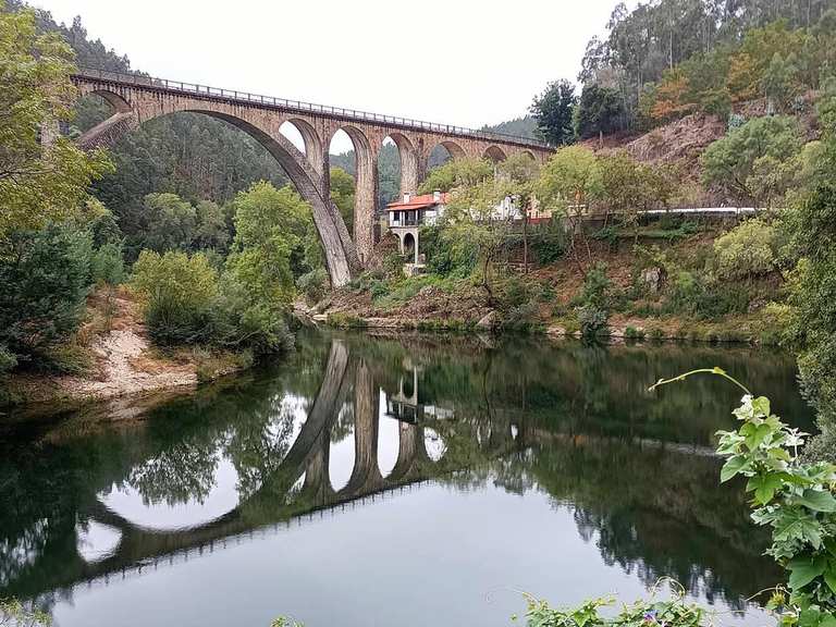 De 5 mooiste MTB-routes in Perimetro Florestal Do Rio Mau | Komoot