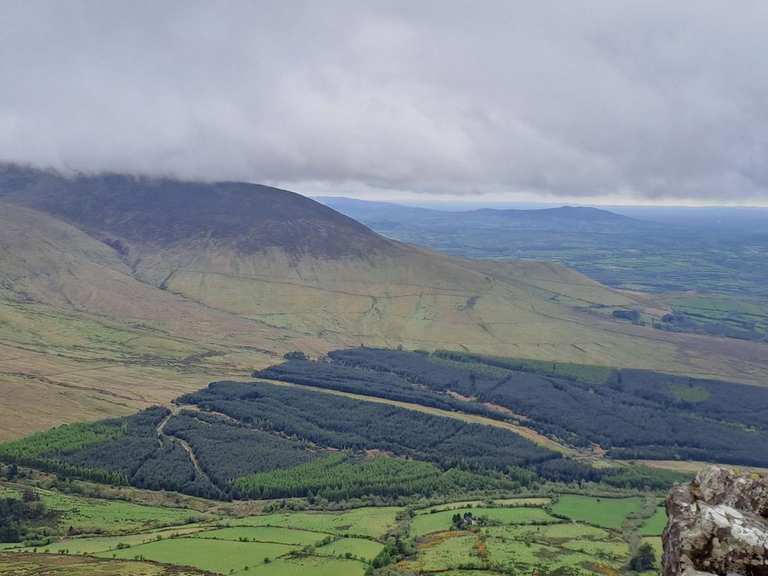 Lista 8 najlepszych wycieczek i tras rowerowych w Scaragh Wood | Komoot