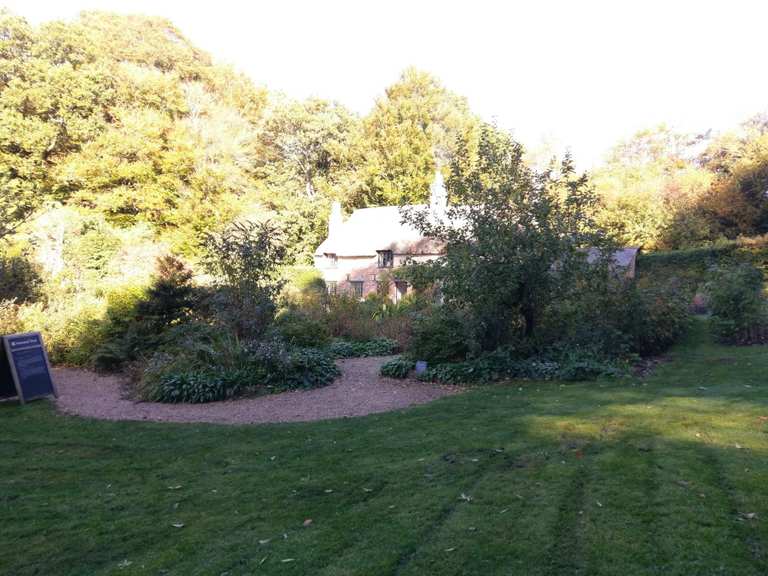 Top 10 Hikes and Walks in Puddletown Forest | Komoot