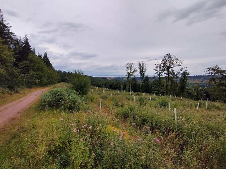 Top 8 Hikes and Walks around Chepstow Park Wood | Komoot