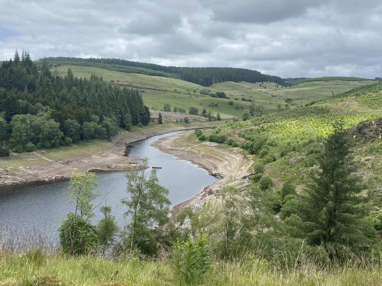 Top 10 Hikes and Walks around Tywi Forest | Komoot