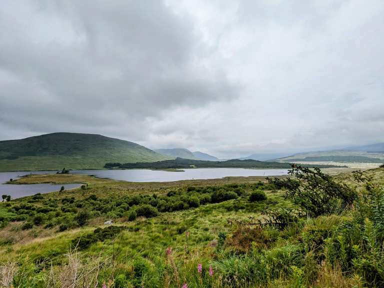 Top 7 Hikes and Walks in Carrick Forest | Komoot