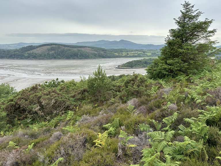 The best walks and hikes in Dalbeattie Forest | Komoot