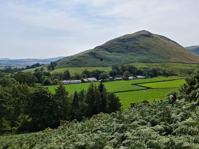 Top 10 Hikes and Walks in Greystoke Forest | Komoot