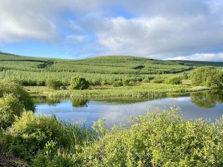 Top 9 Hikes and Walks around Craik Forest | Komoot