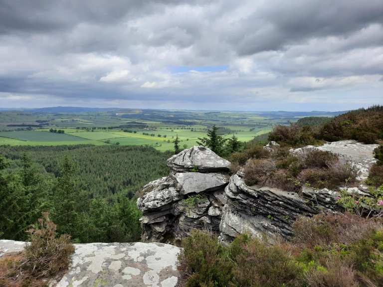 The best walks and hikes around Thrunton Wood | Komoot