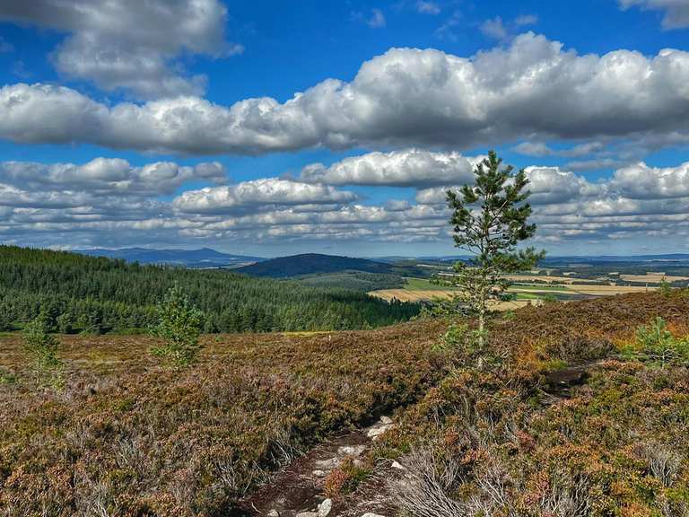 Top 10 Hikes and Walks around Midmar Forest | Komoot