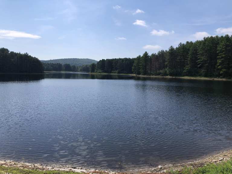 Top 10 Hikes and Walks in Cadwell Memorial Forest | Komoot