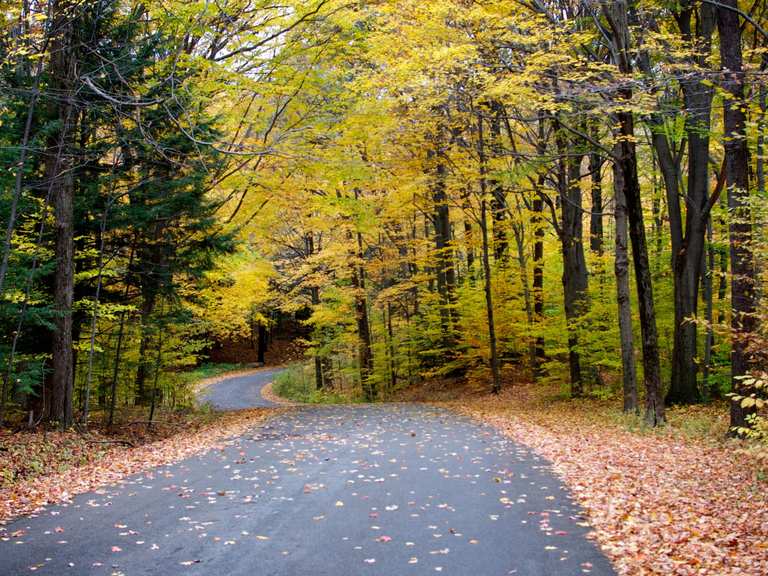 Top 7 Hikes and Walks in Chestnut Ridge Park | Komoot