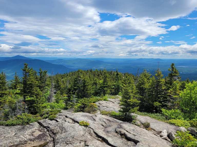 Top 9 Hikes and Walks in Bowditch-Runnels State Forest | Komoot