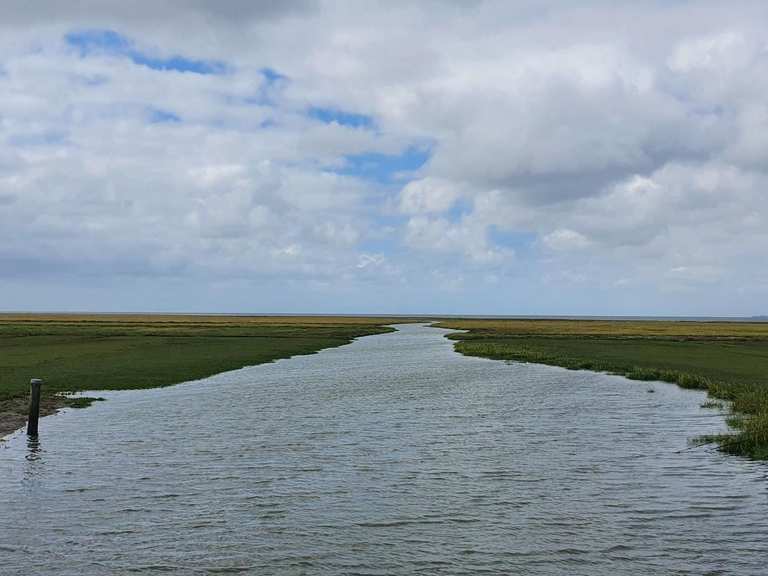 Ausflugsziele rund um Wesselburen - Die Top 20 | Komoot
