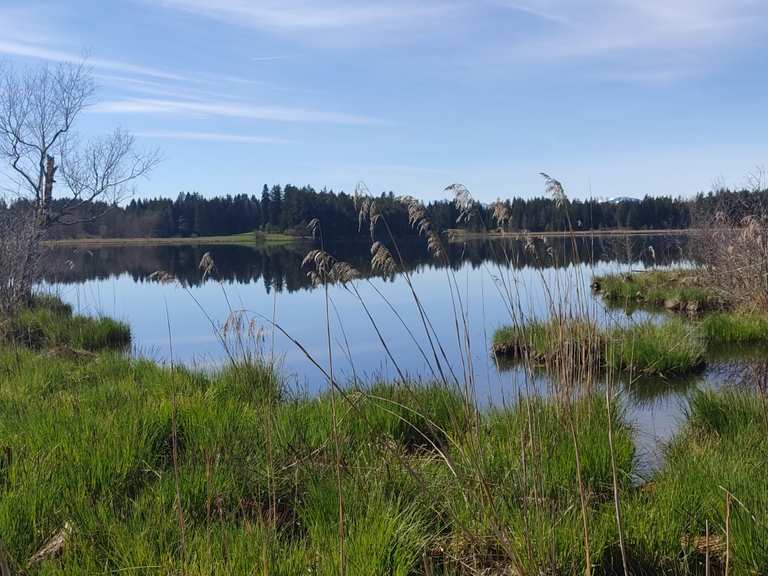 Ausflugsziele rund um Aitrang - Die Top 20 | Komoot