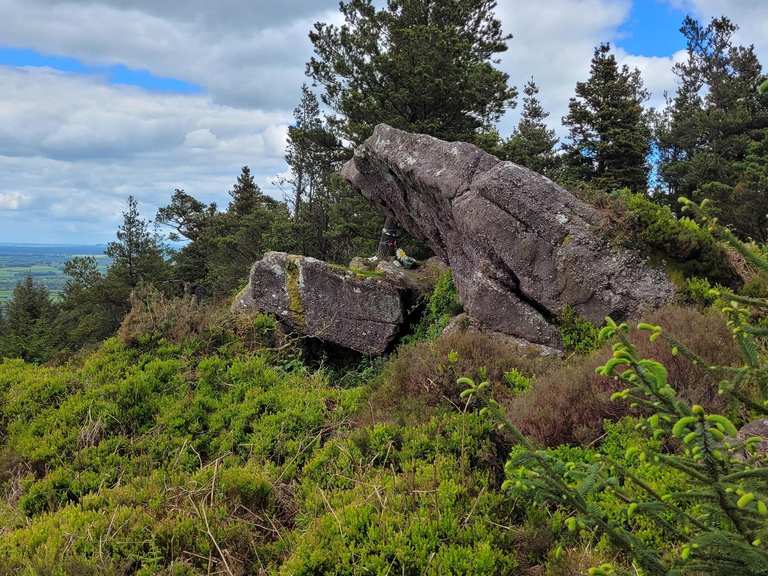 Top 5 Hikes and Walks in Bansha Forest | Komoot