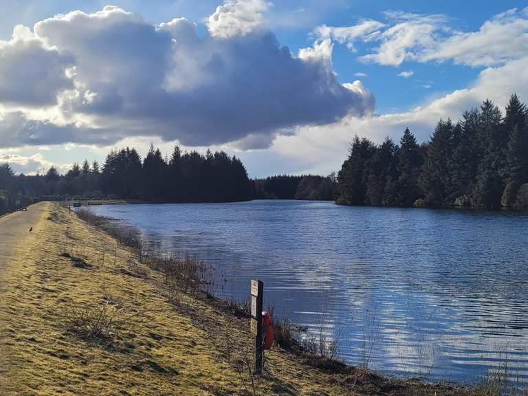 Top 10 Hikes and Walks around Monikie And Newbigging | Komoot
