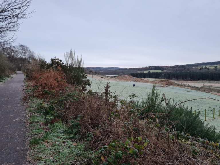 Top 10 Hikes and Walks around Cults, Bieldside And Milltimber | Komoot