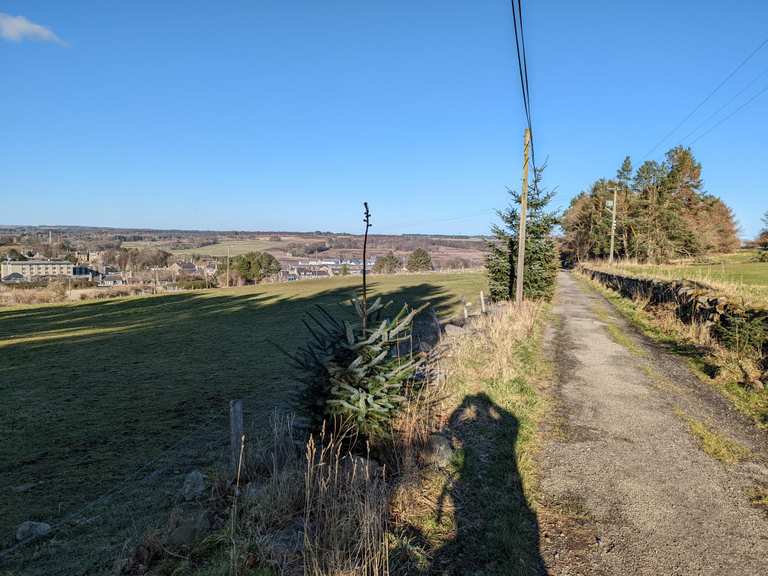 Die 8 schönsten Wanderungen rund um Kingswells | Komoot