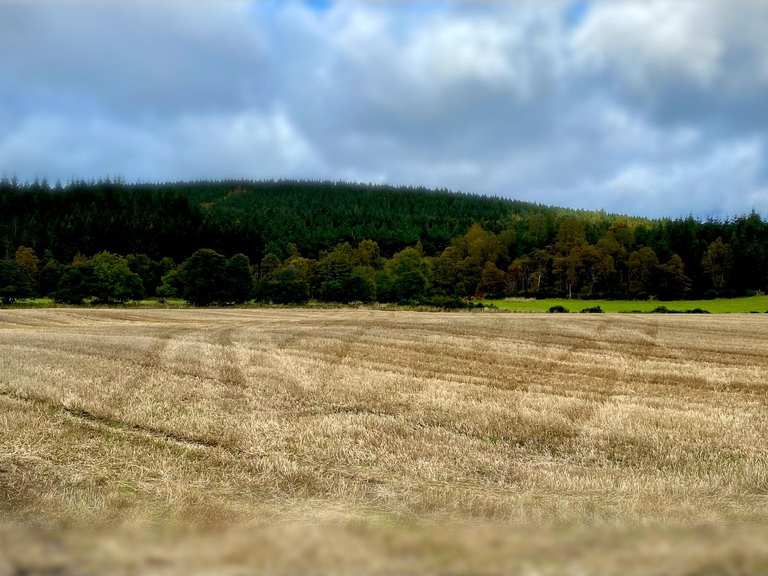 Top 6 Hikes and Walks around Birse And Ballogie | Komoot