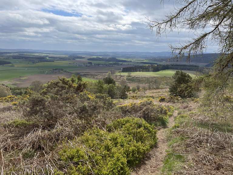 Top 10 Running Trails around Echt And Skene | Komoot
