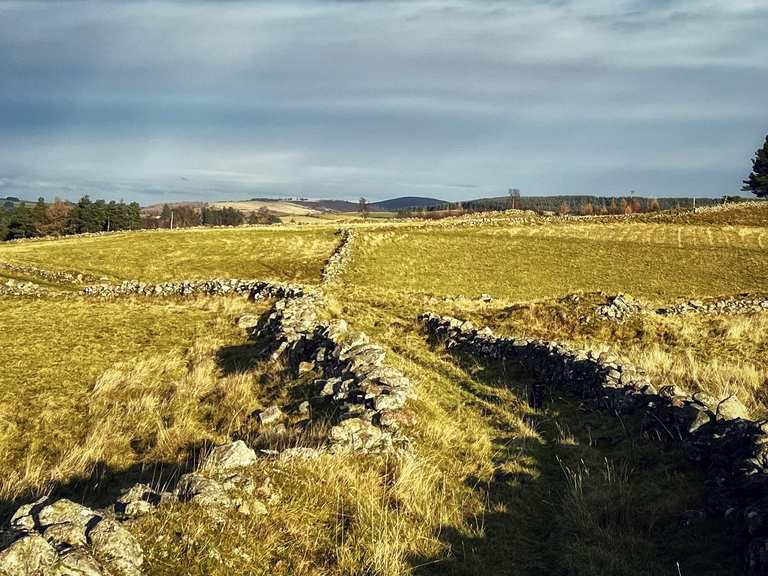 Attractions and Places To See around Lumphanan - Top 20 | Komoot