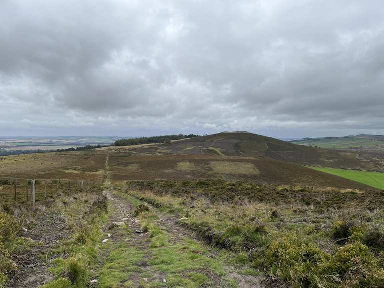 Top 10 Hikes and Walks around City Of Brechin And District | Komoot