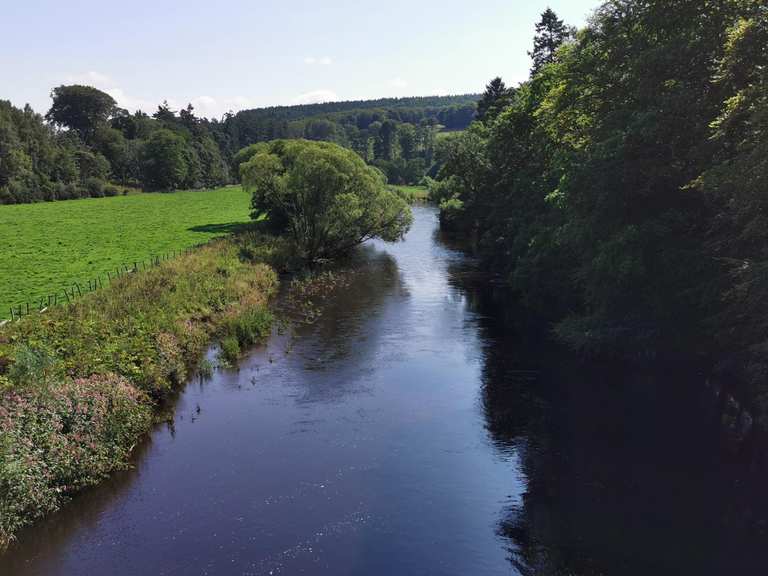 Top 5 Most Beautiful MTB Trails around City Of Brechin And District ...