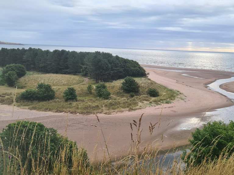 Top 10 Hikes and Walks around Friockheim And District | Komoot