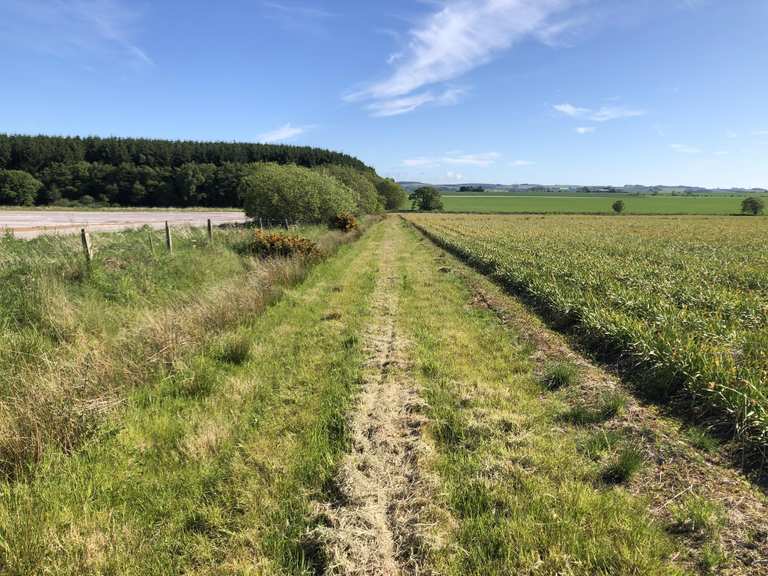 Top 10 Bike Rides and Cycling Routes around Friockheim And District ...