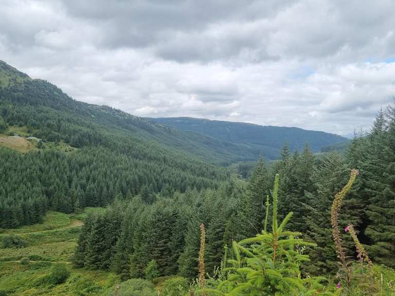 Top 10 Hikes and Walks around Strachur | Komoot
