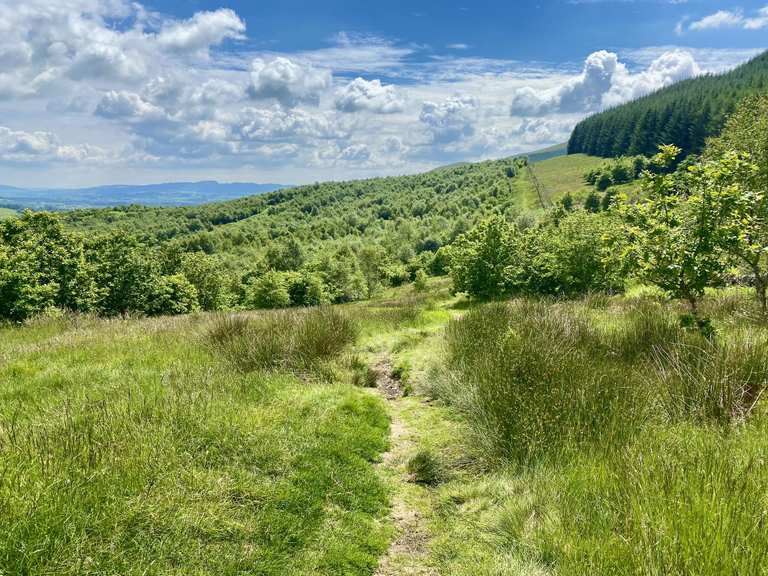 Die 10 schönsten Wanderungen rund um Muckhart | Komoot