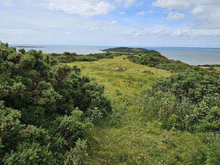 Top 9 Hikes and Walks around Borgue | Komoot