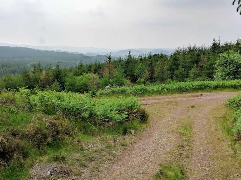 Top 9 Hikes and Walks around Corsock And Kirkpatrick Durham | Komoot