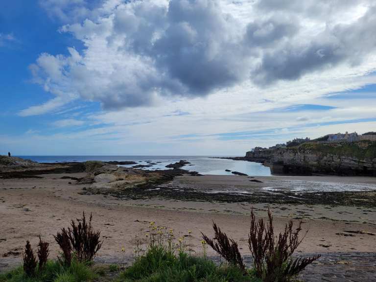 Top 10 Hikes and Walks around Guardbridge And District | Komoot