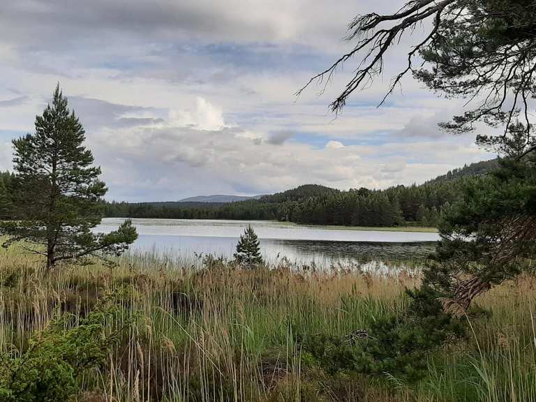 The best walks and hikes around Aviemore | Komoot
