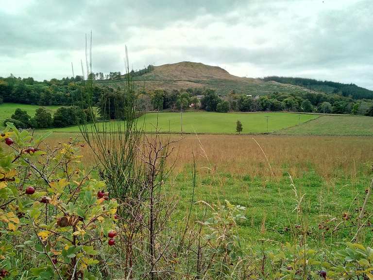 Die 7 schönsten Wanderungen rund um Beauly | Komoot