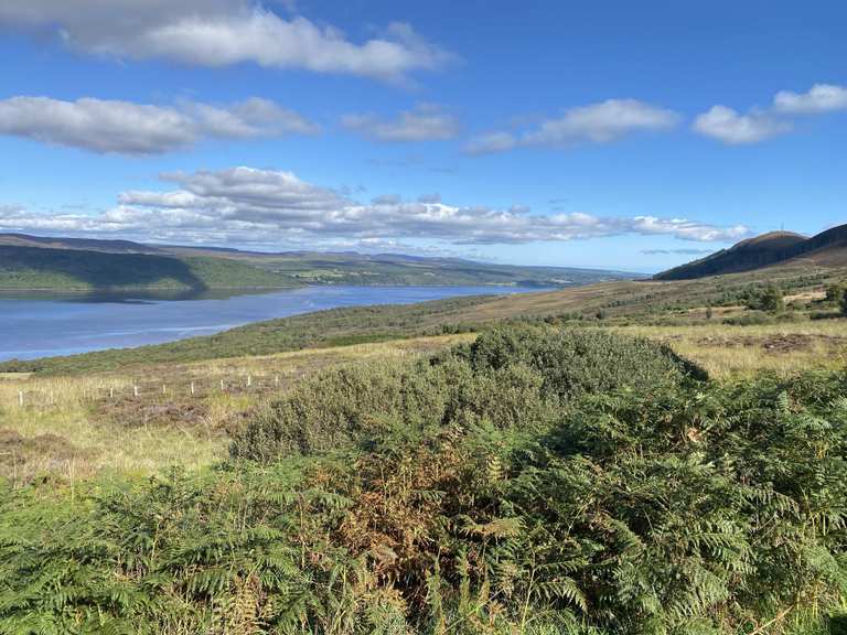 Top 10 Hikes and Walks around Edderton | Komoot