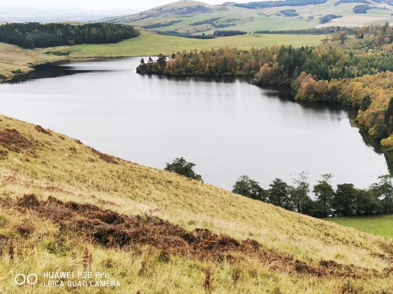 Top 7 Hikes and Walks around Meigle And Ardler | Komoot