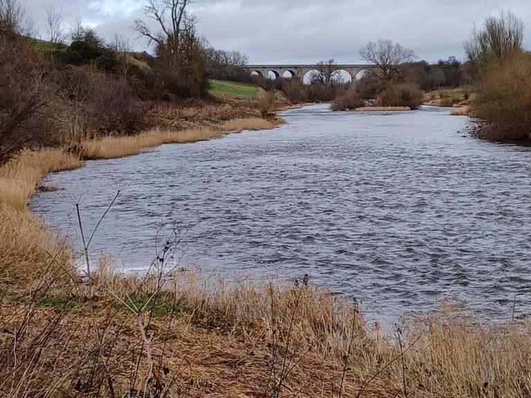 Top 10 Bike Rides and Cycling Routes around Heiton And Roxburgh | Komoot