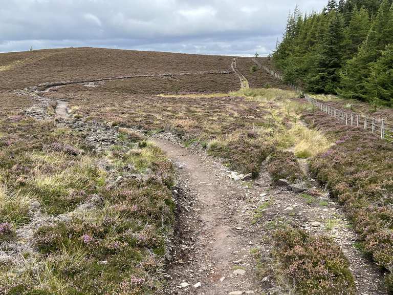 Top 10 Hikes and Walks around Innerleithen And District | Komoot