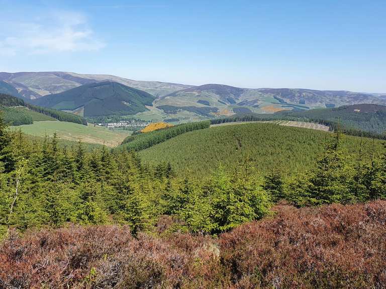 Top 10 Hikes and Walks around Walkerburn And District | Komoot