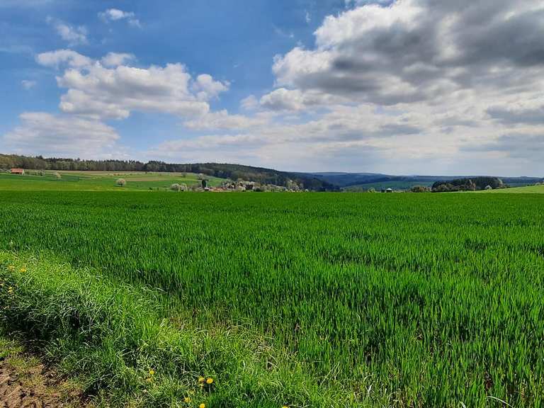 Ausflugsziele rund um Beerfelden - Die Top 20 | Komoot