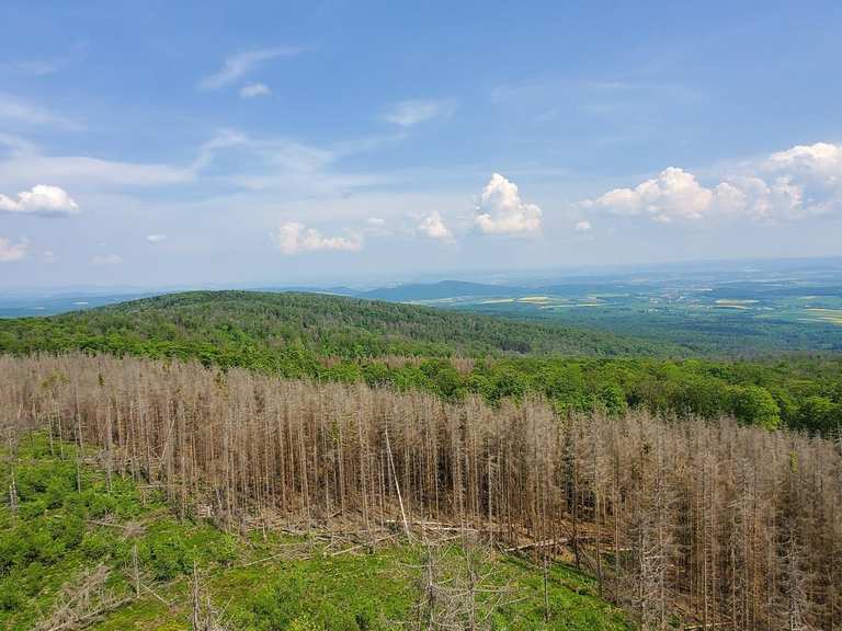 Ausflugsziele rund um Jesberg - Die Top 20 | Komoot