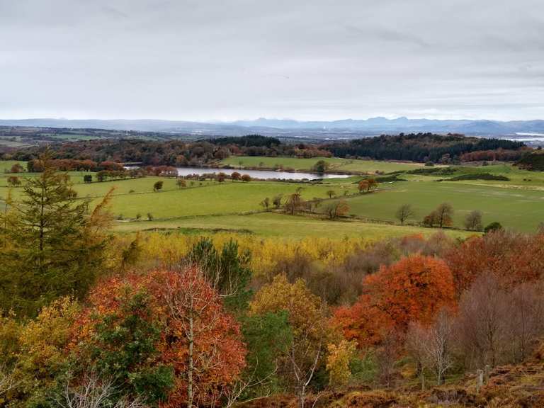 Die 10 schönsten Wanderungen rund um Torphichen | Komoot