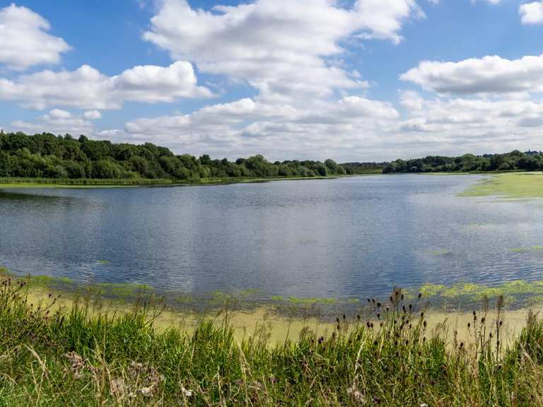 Top 10 Hikes and Walks around Havercroft With Cold Hiendley | Komoot