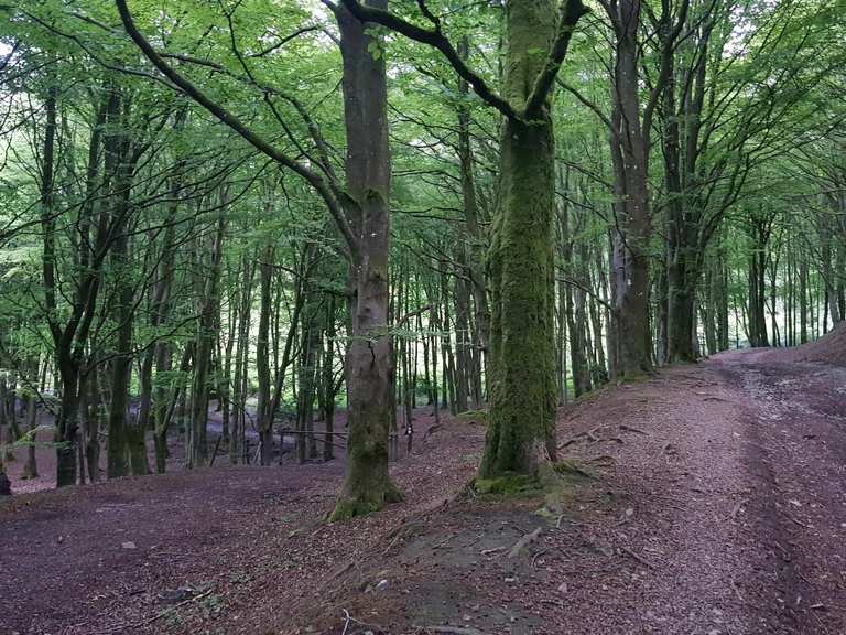 Top 8 Hikes and Walks around Bothel And Threapland | Komoot