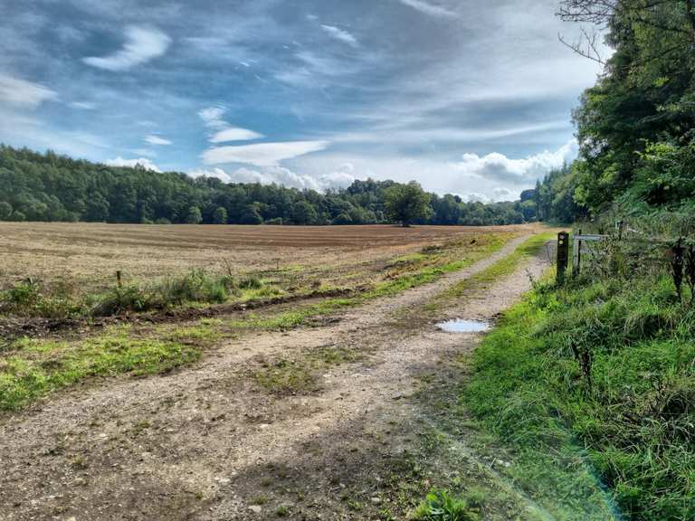 Lista 5 najpiękniejszych szlaków MTB wokół Castle Bottom National ...
