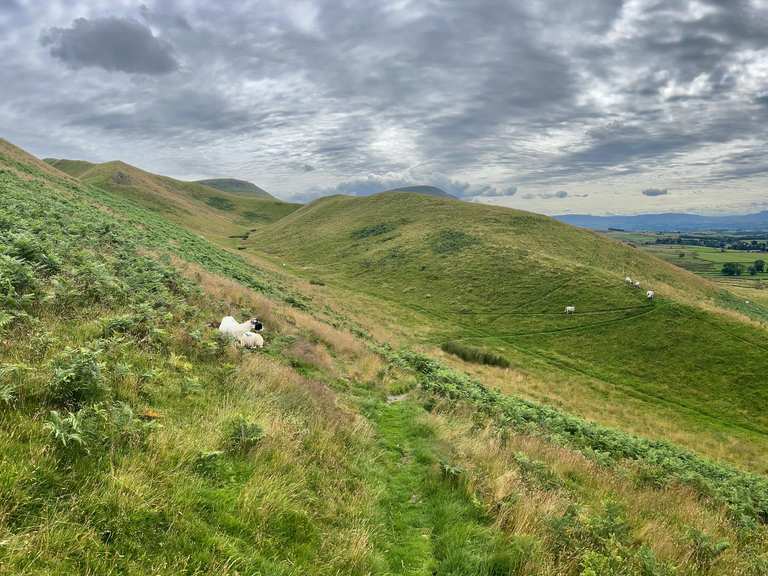 Top 10 Hikes and Walks around Ormside | Komoot